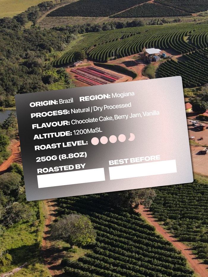 Elephant | Coffee Shops, Bars and Pizzerias | Wirral and Cheshire